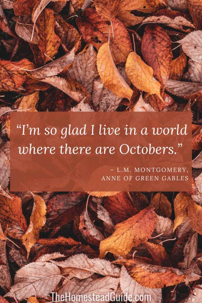 95+ Fall Quotes and Images that Capture the Beauty and Melancholy of ...