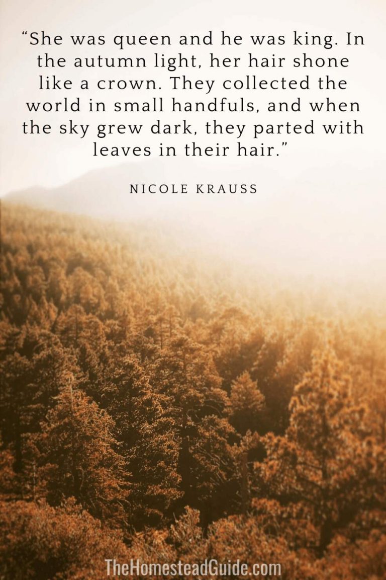 95+ Fall Quotes and Images that Capture the Beauty and Melancholy of ...