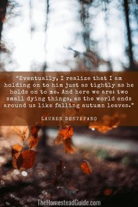 95+ Fall Quotes and Images that Capture the Beauty and Melancholy of ...