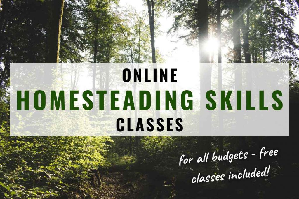 14 Online Homesteading Classes For Every Budget Free Courses Included 